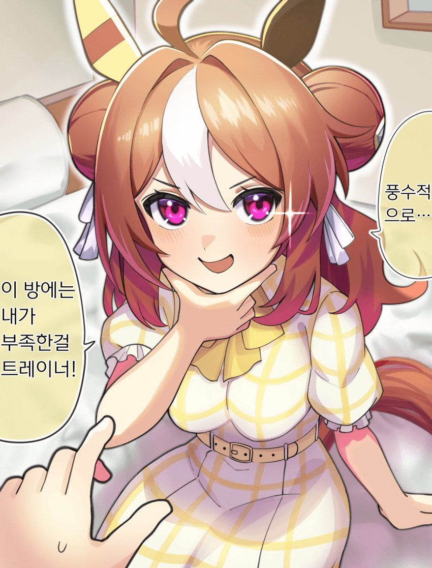 말딸 우마무스메 짤 만화들 Manhwa 웃긴대학 만화