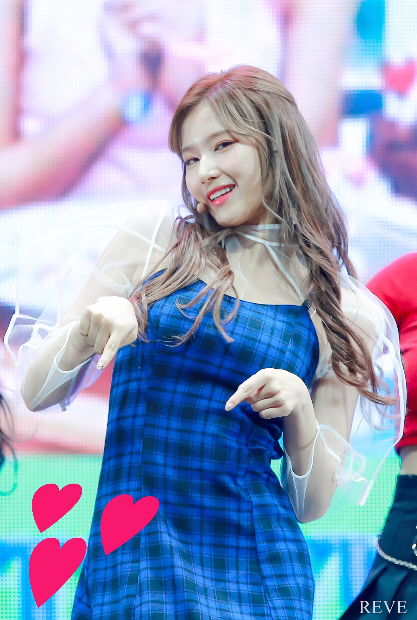 도람푸 잉어 먹이주는짤의 진실.jyp