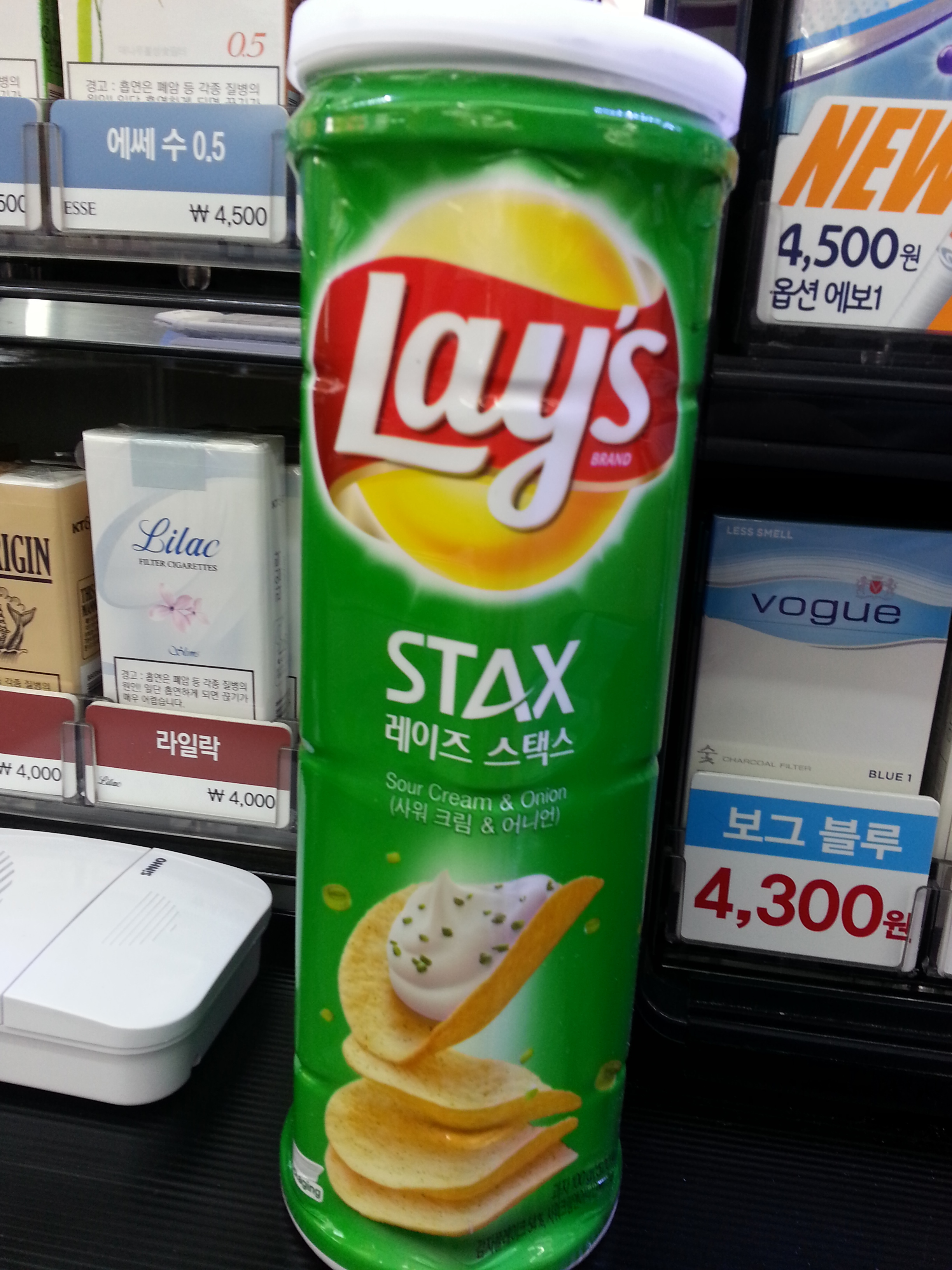 대창렬민국. jyp