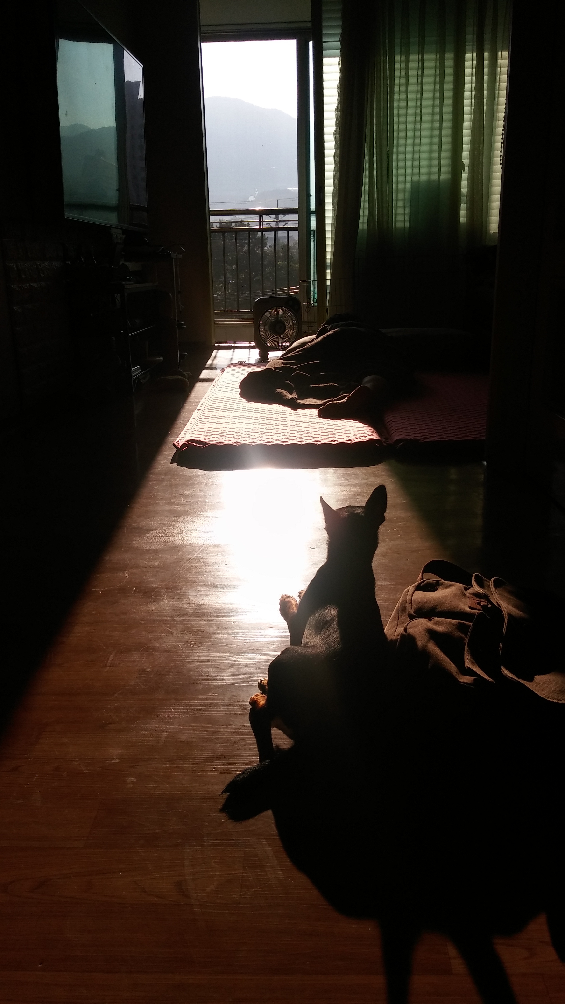 나의 에피소드1 .SSUL