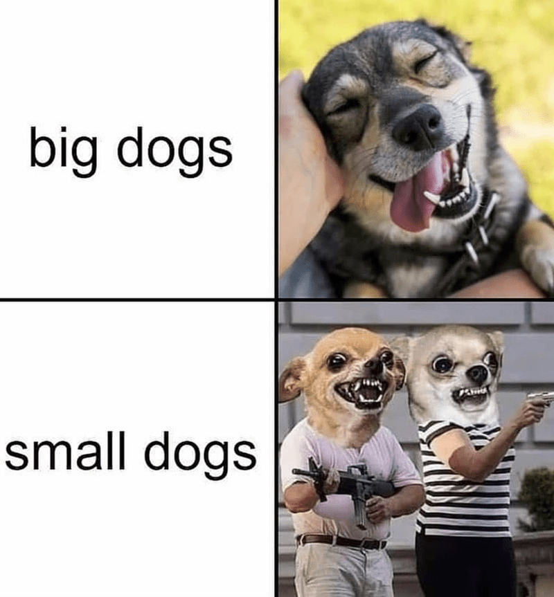 두부 사기템이네