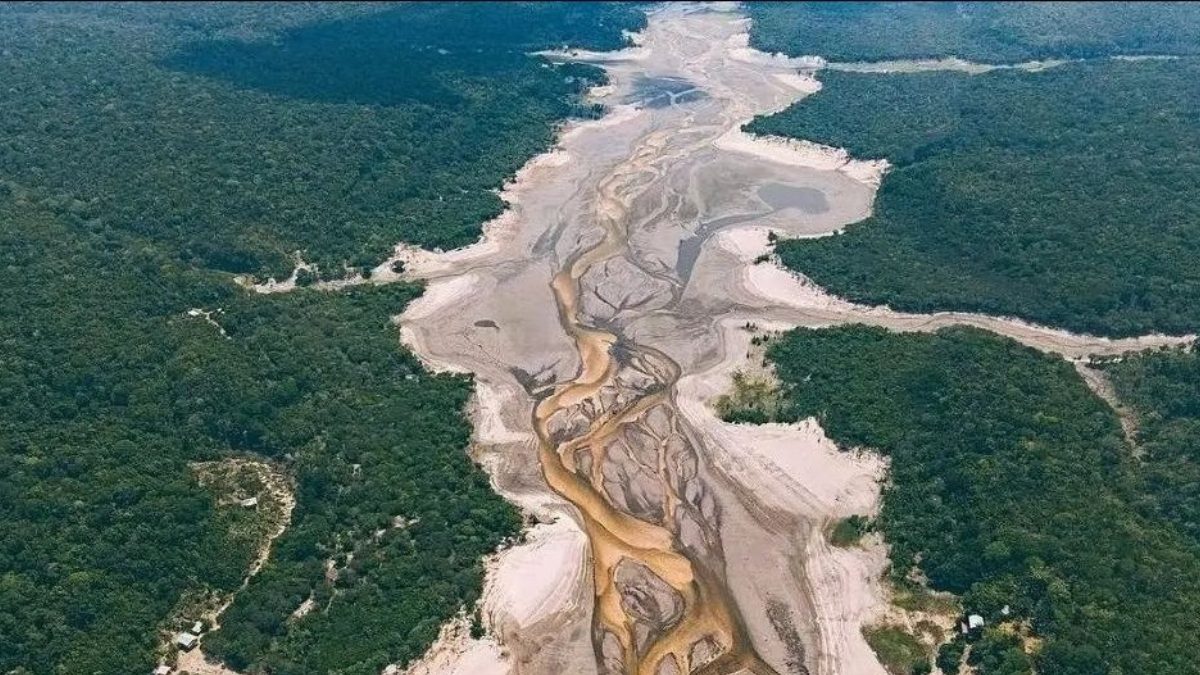 아마존강이 기록적인 가뭄으로 최저 수위를 기록