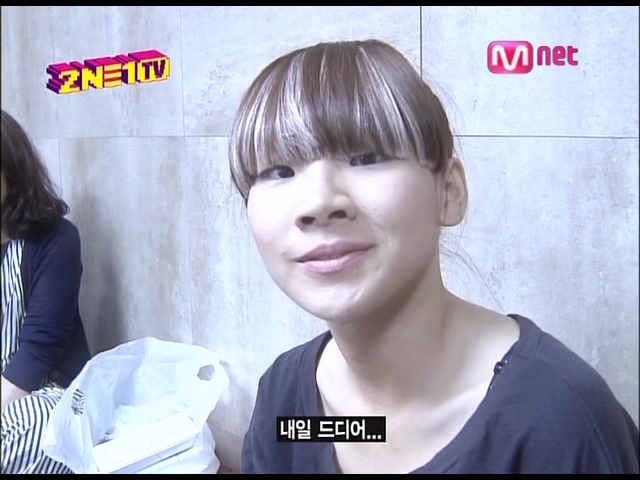 2ne1 cl VS 소녀시대 태연 :: 웃긴대학 웃대POLL