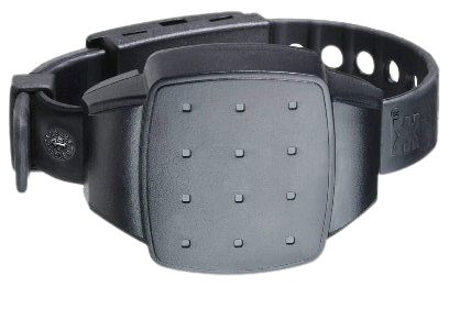 전자발찌 끊고도주