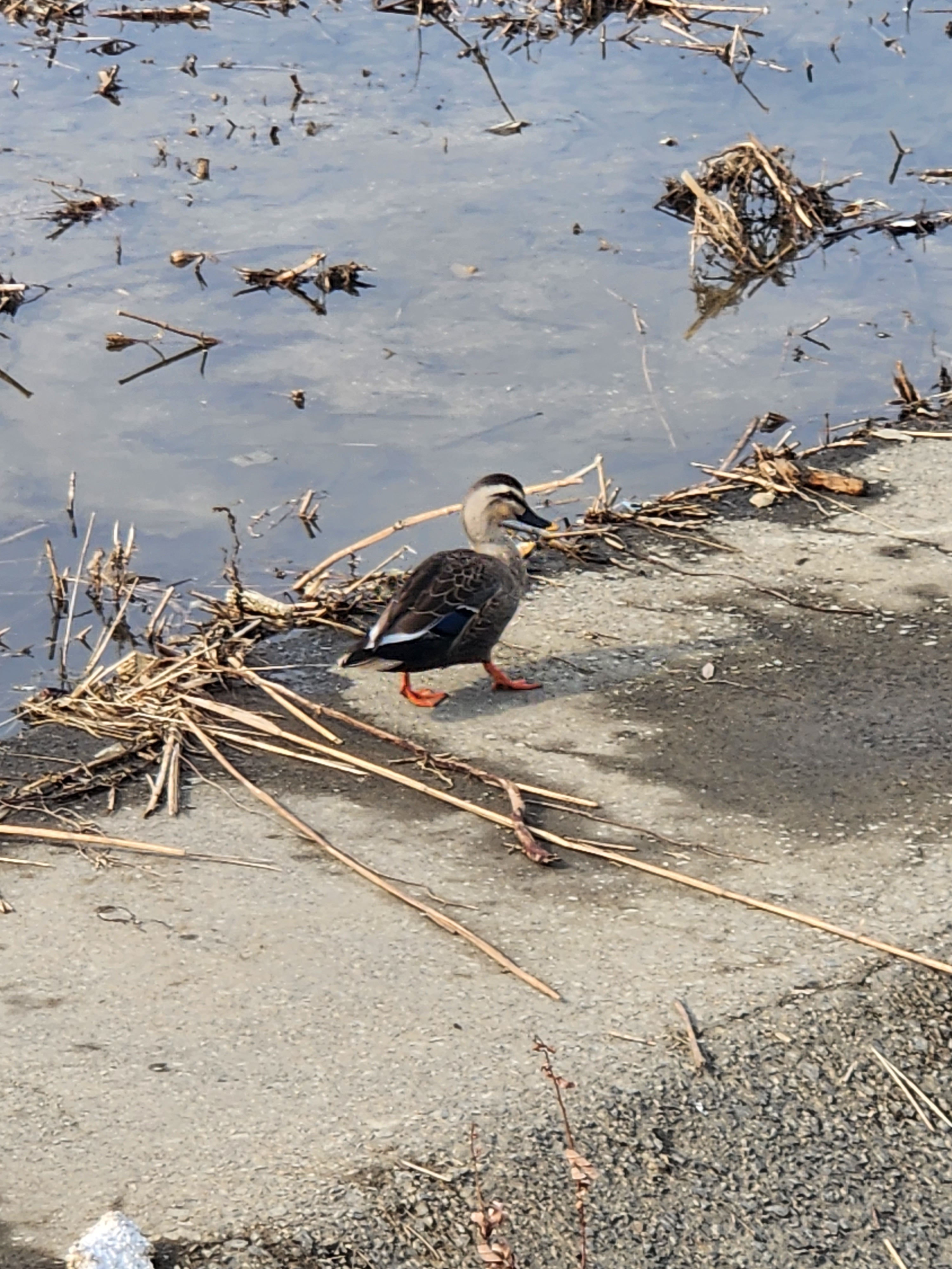매일 산책하는 코스에