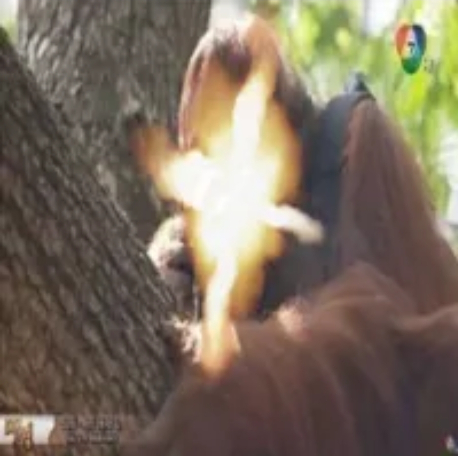 와까모 찌찌패드 왔어요