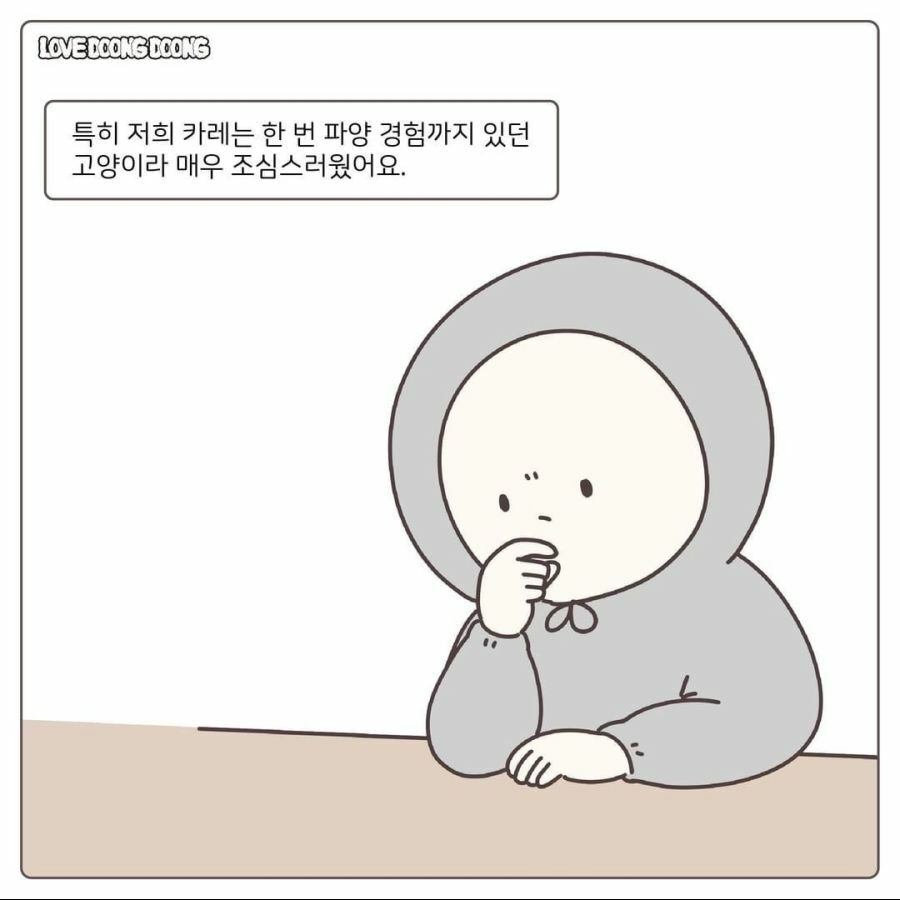 길고양이 입양하는 만화 :: 웃긴대학 웃긴자료