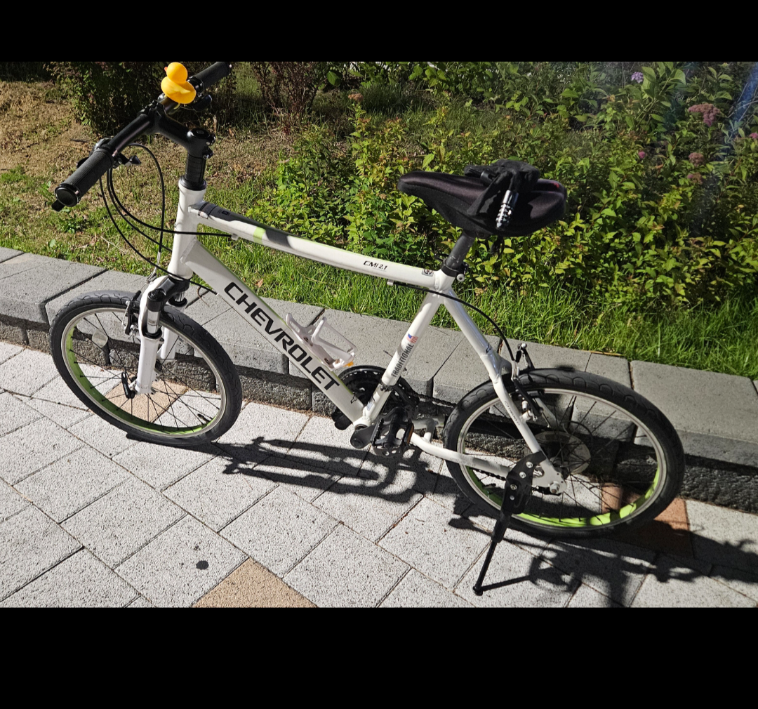 결국 미니벨로 자전거 샀다~~