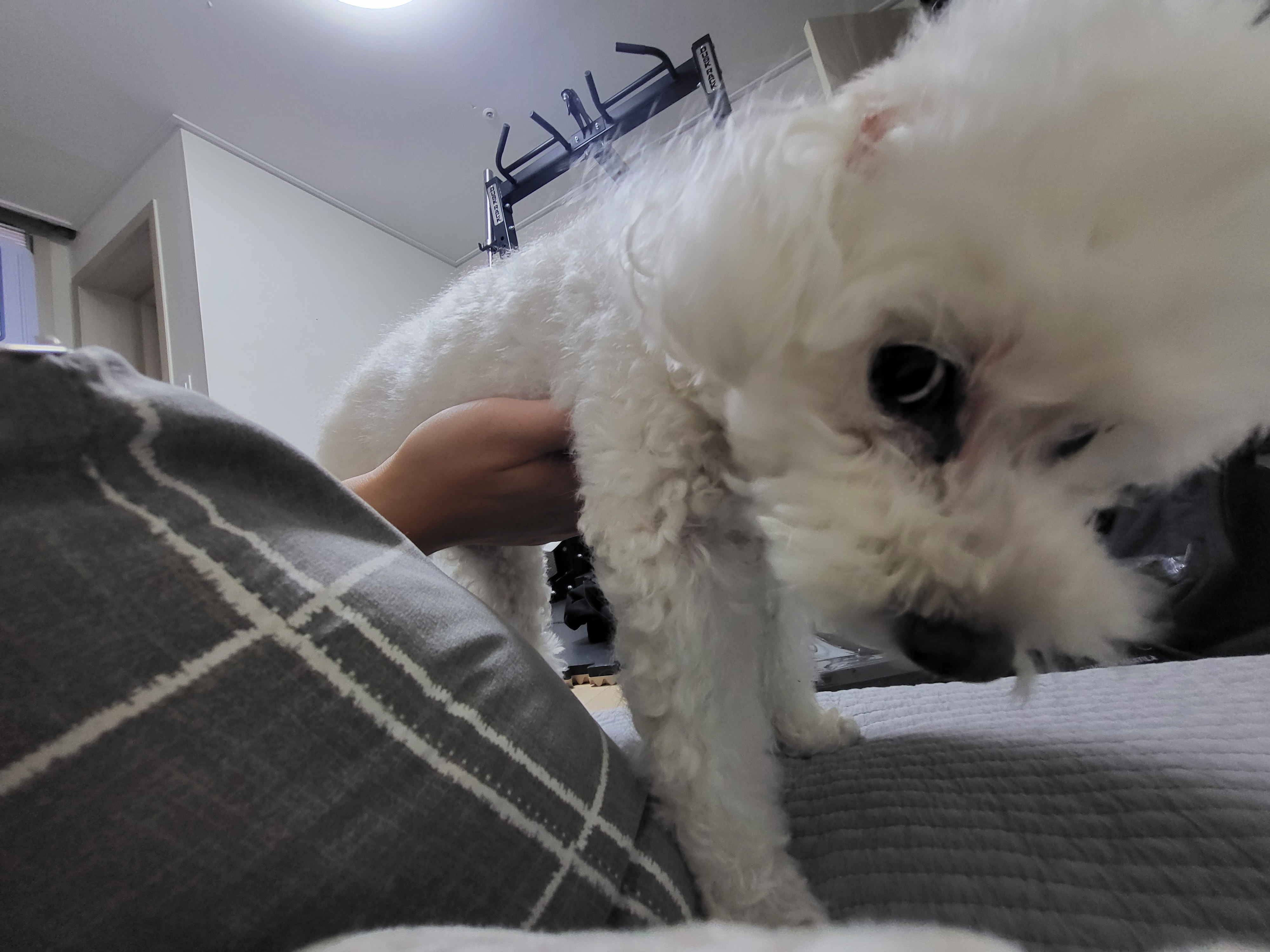 슬슬 출근해볼까