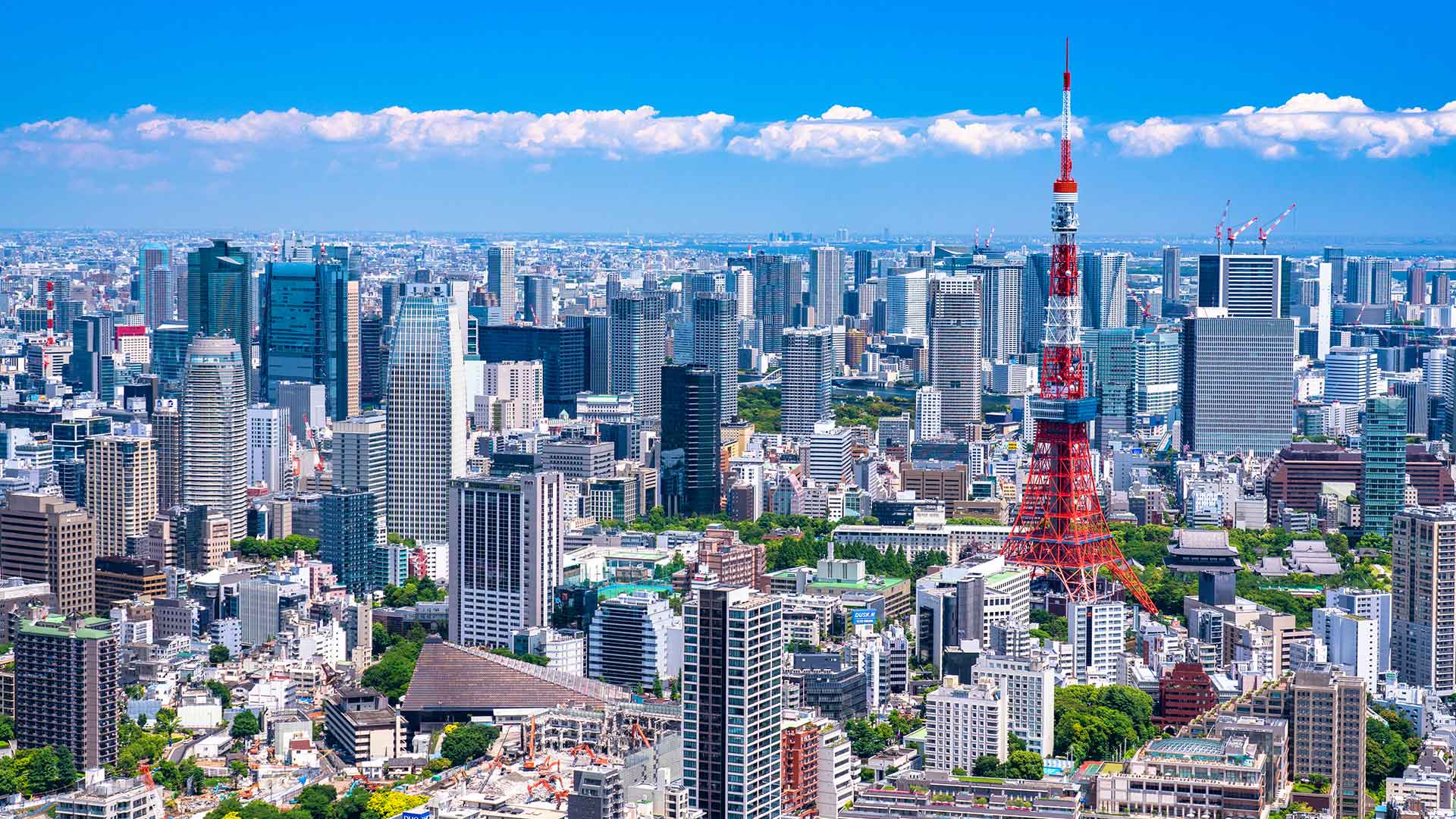Seoul VS Tokyo