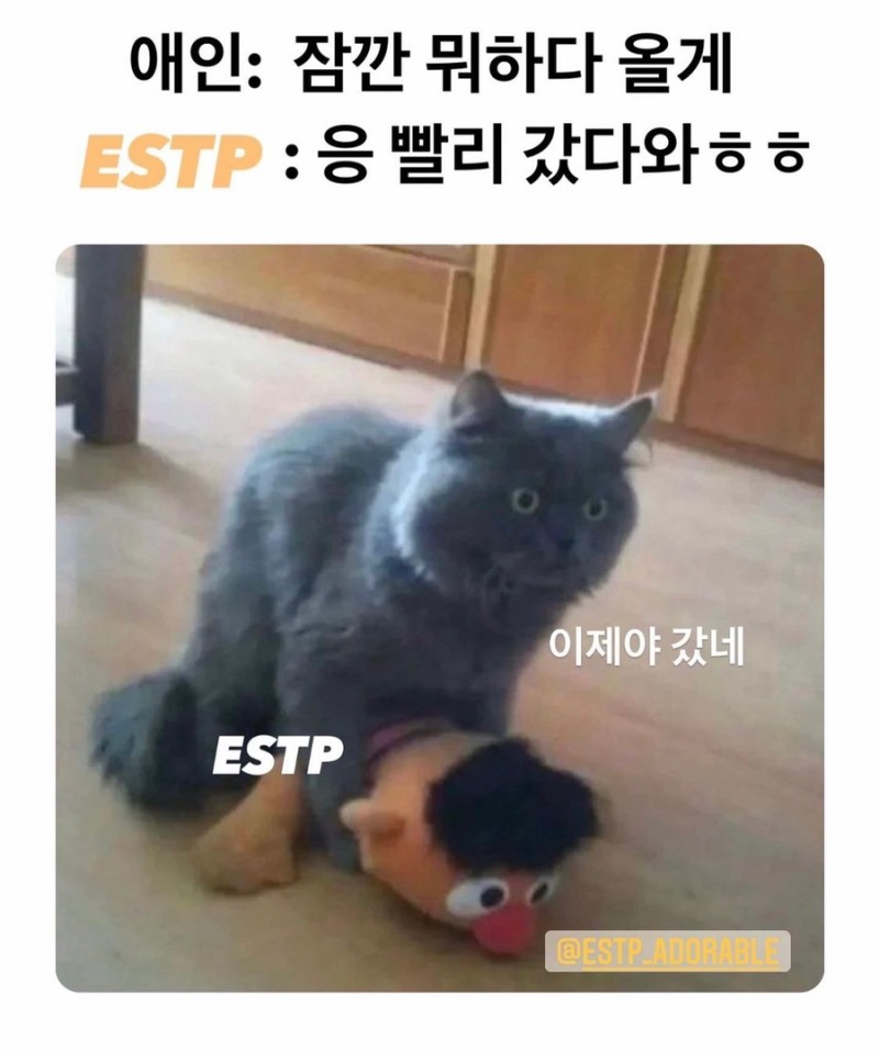 ESTP 모음 스크랩