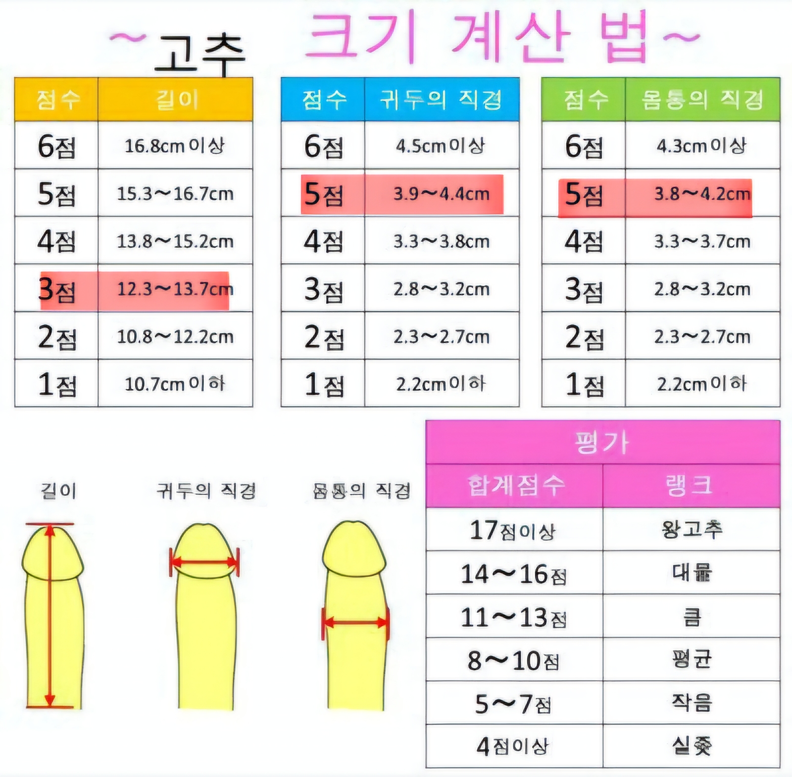 ㅇㅎ 쥬지 인증