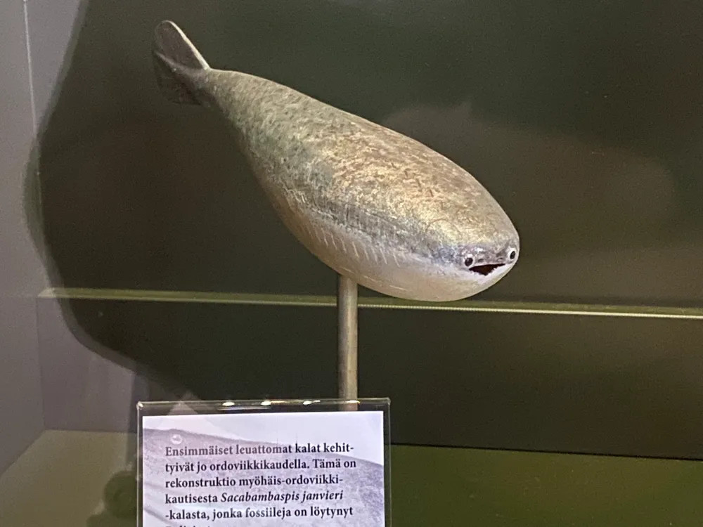 사카밤바스피스
