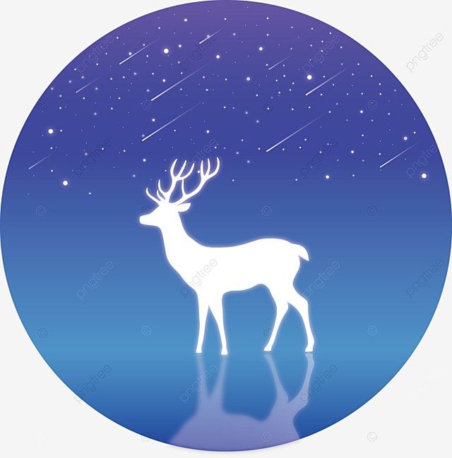 요즘 낭군에게 잘해주지 못한 것 같아서