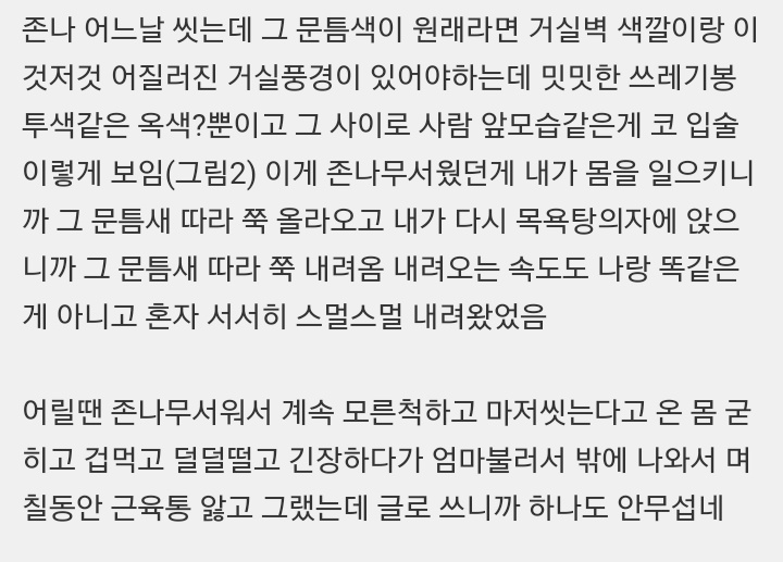 [괴담] 나 중학생 때 샤워하다가 본 거.ssul