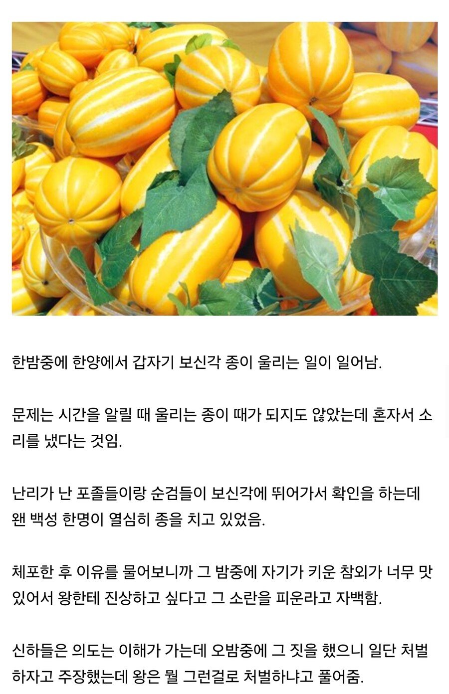 한양 참외 당도최고!