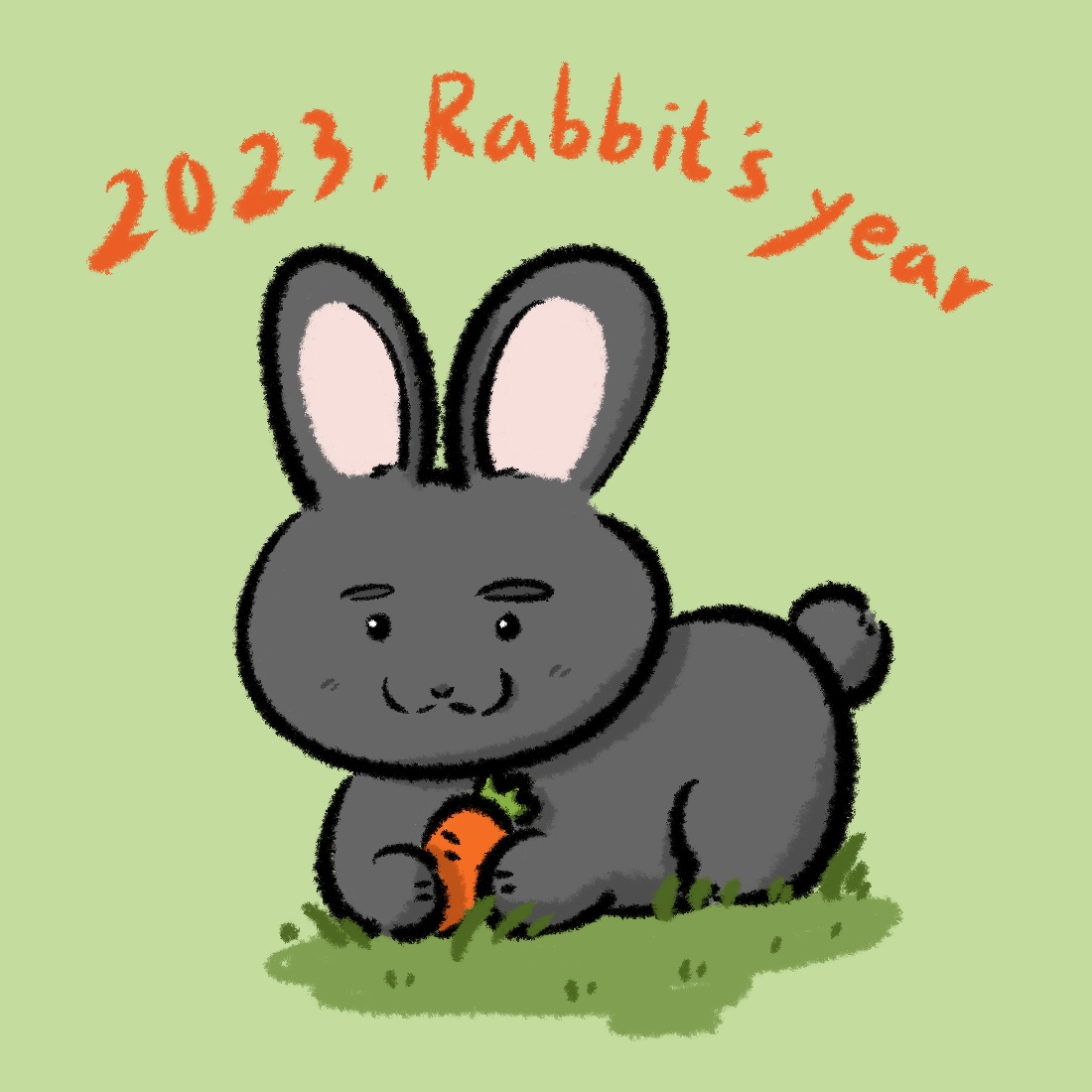 2023년이 검은 토끼의 해라며?!