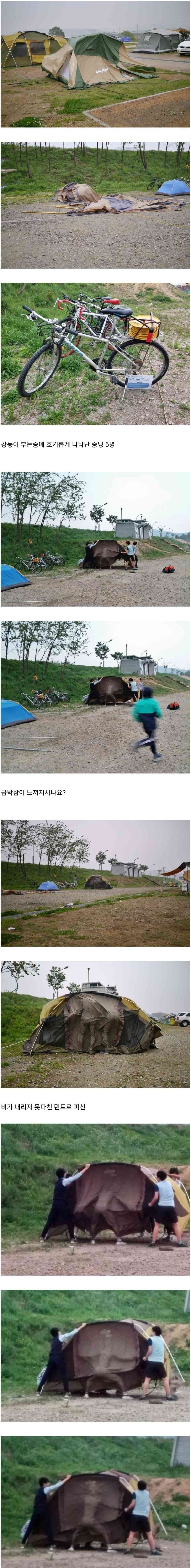 캠핑 온 중딩들.jpg