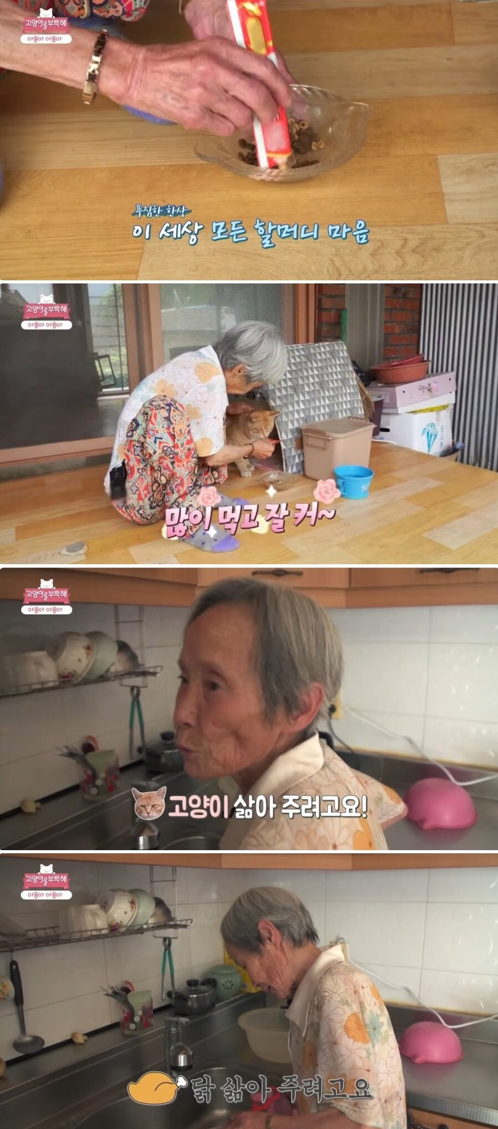 고양이 몸에 덩어리가 잡혀 걱정하는 할머니.jpg