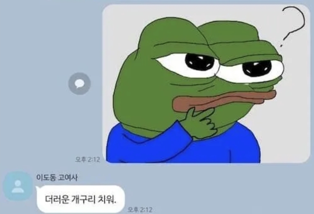 한국에선 잘 모르는 개구리 페페 밈.jpg
