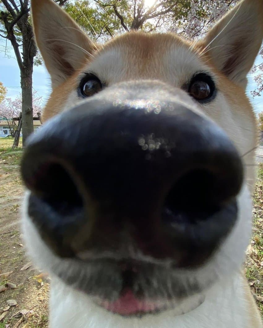 이 모솔아다 찐따 컨셉놈들