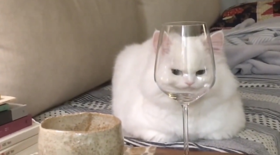 나는 금연 실패하지 않았어