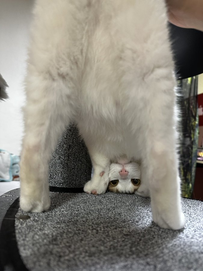 이거 하나 알아두라