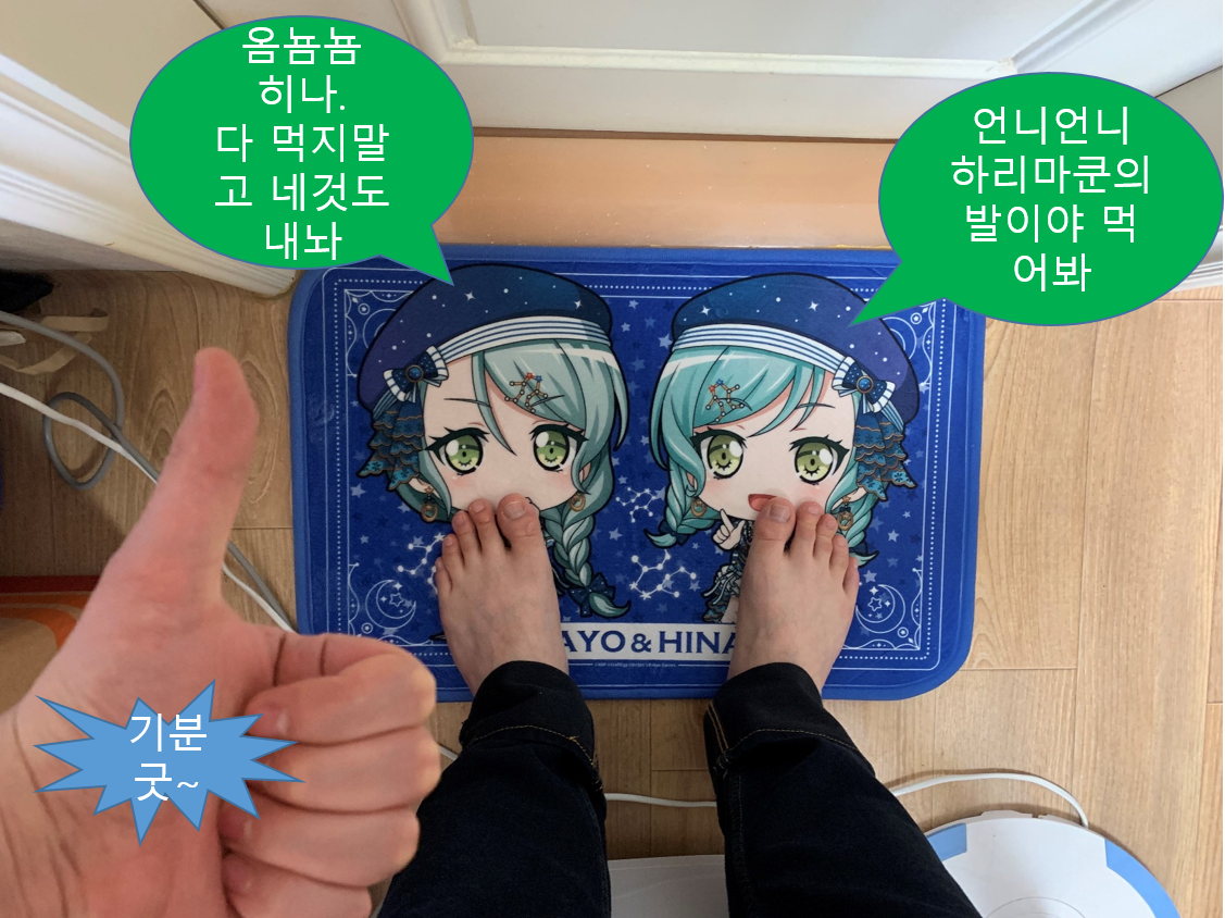 사요 히나 능욕 굿즈 사왔습니다. :: 웃긴대학 만화