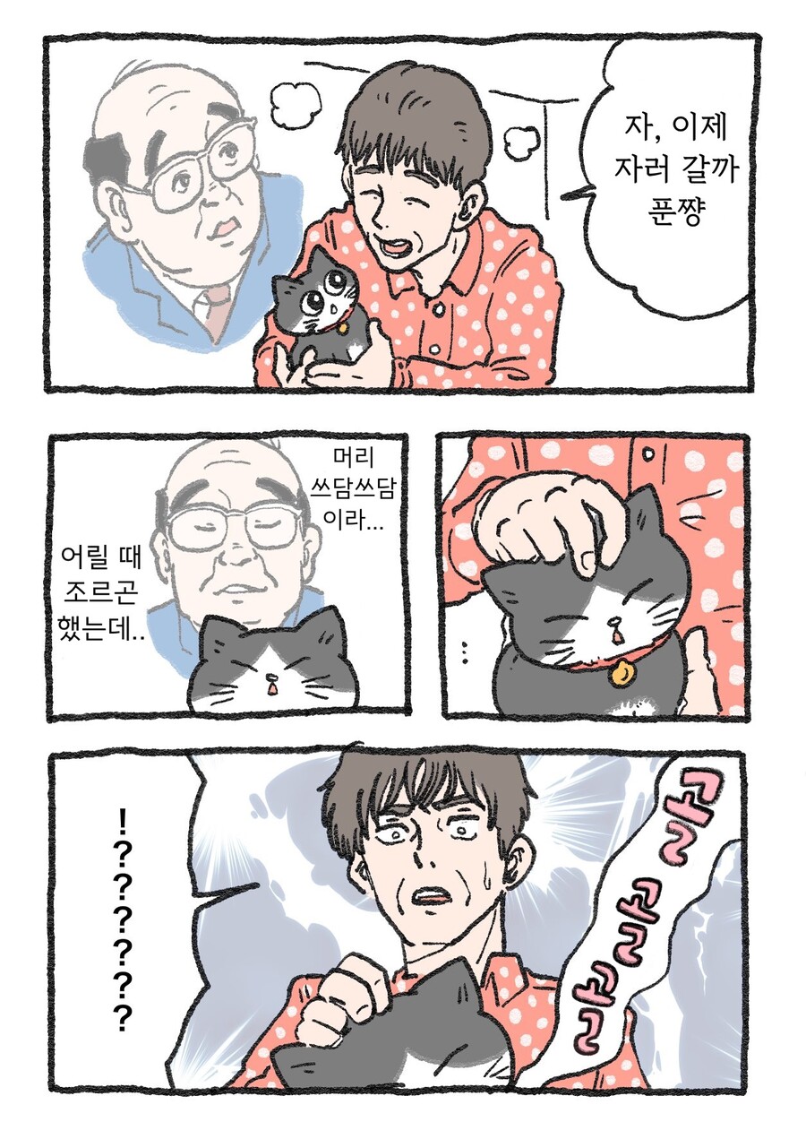 고양이가 되버린 아저씨