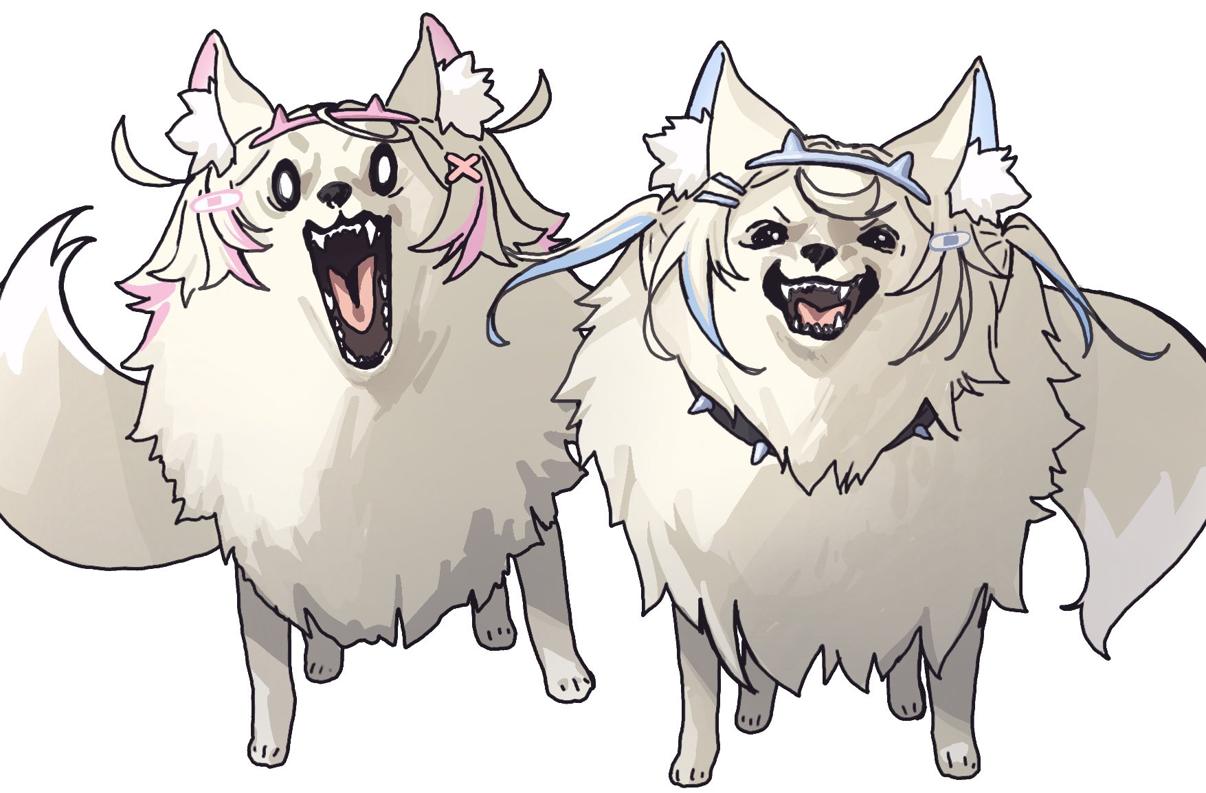 홀로라 개귀여운 후와모코