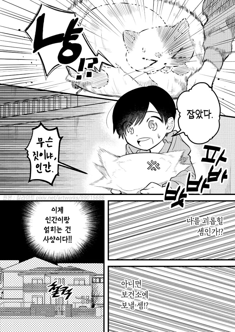 100년을 살아온 고양이.manhwa