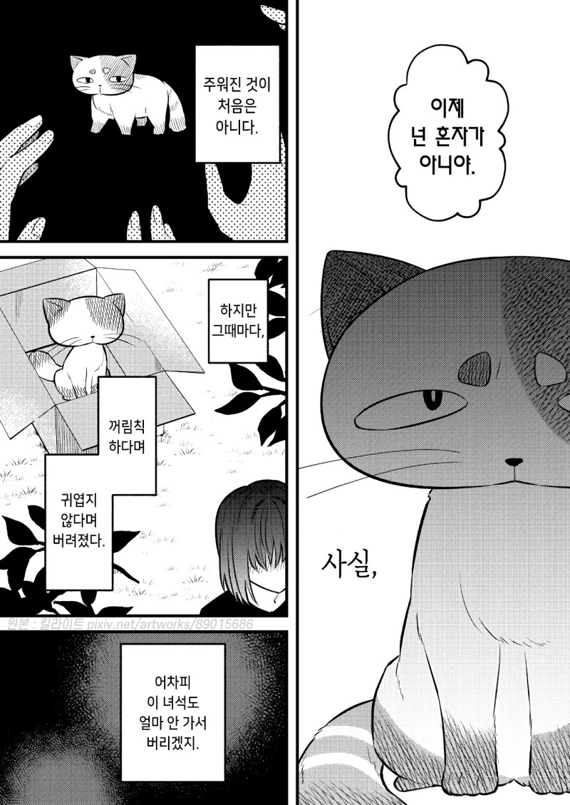 100년을 살아온 고양이.manhwa