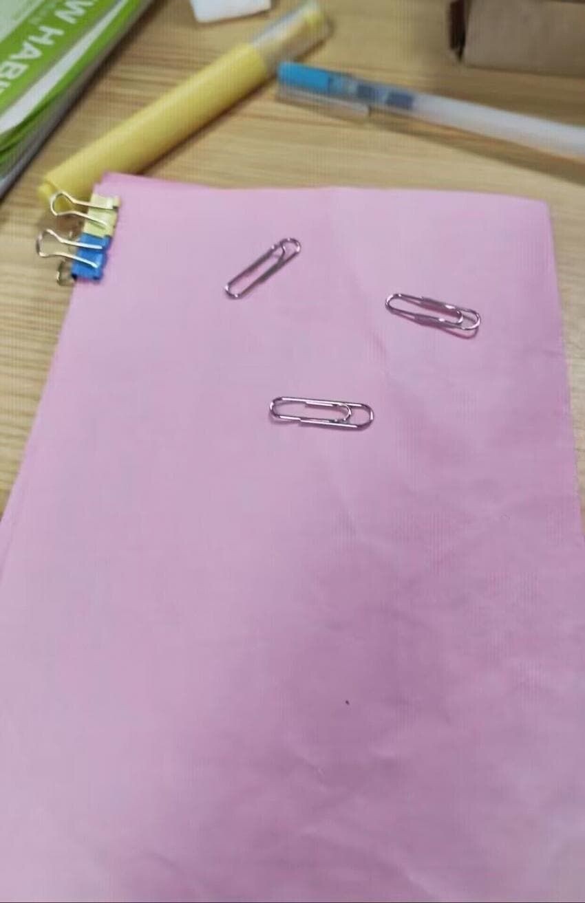 일상 생활속의 봇치
