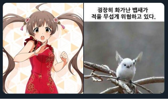 뱁새리카
