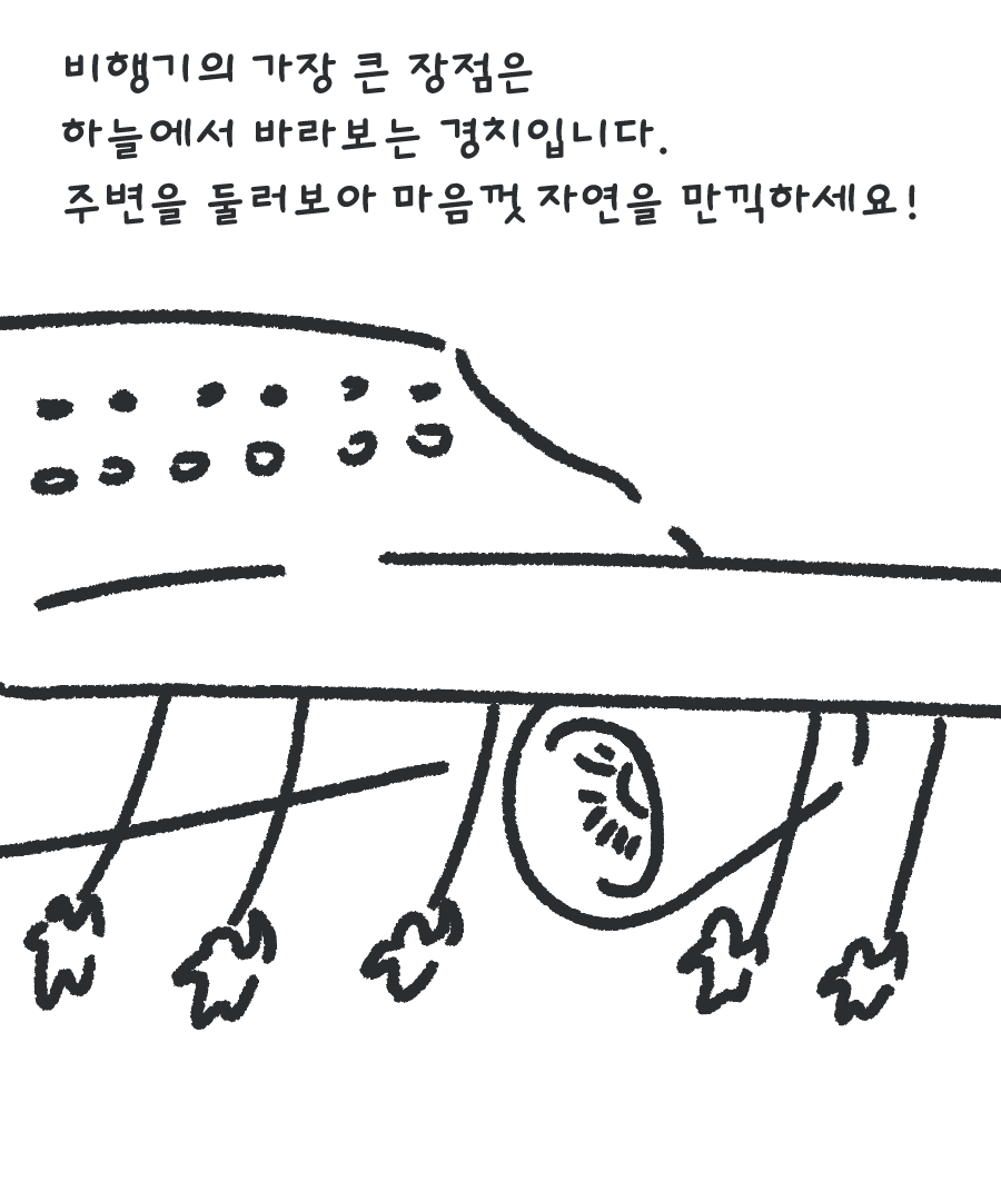 비행기 처음 타는 사람을 위한 가이드.manhwa