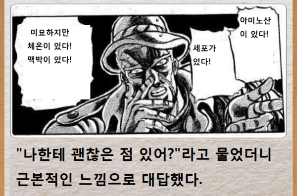 죠죠 보케테