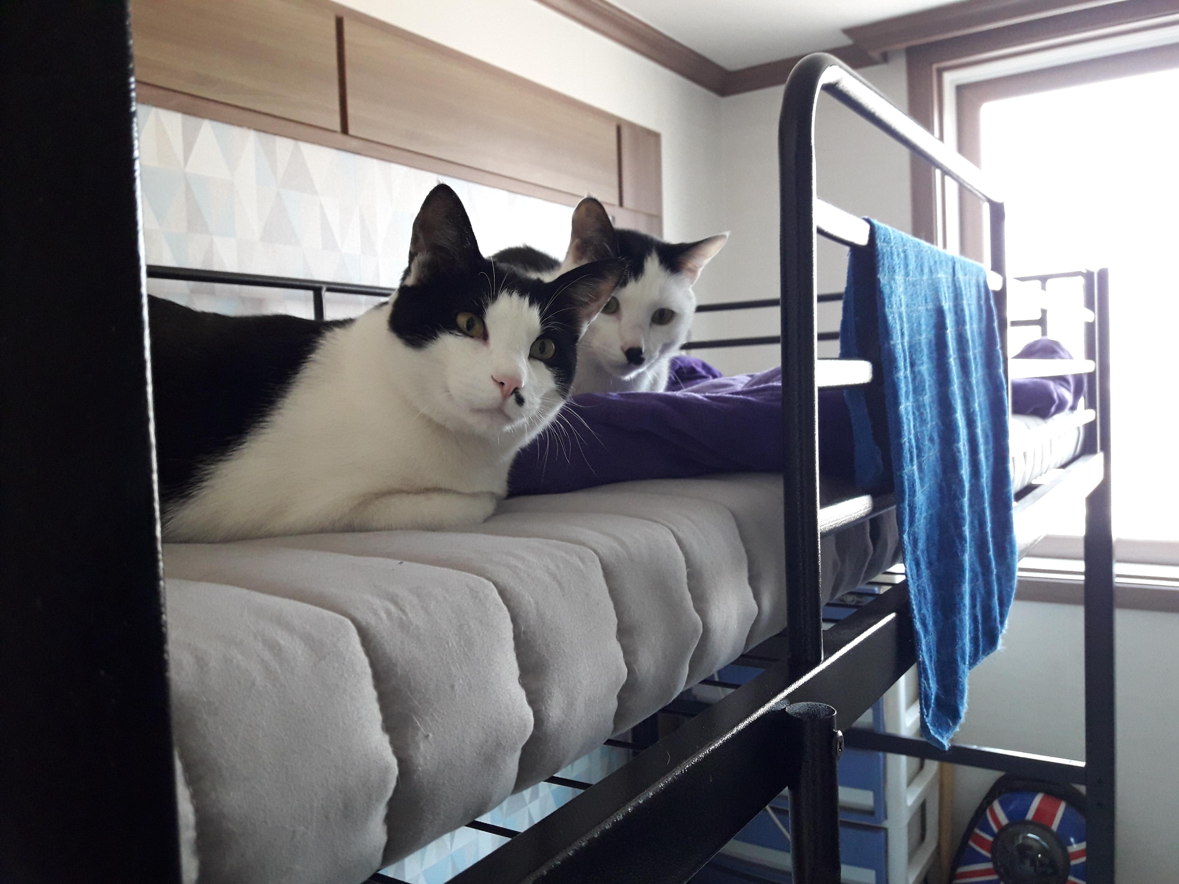 머야 여기 던갤이냐
