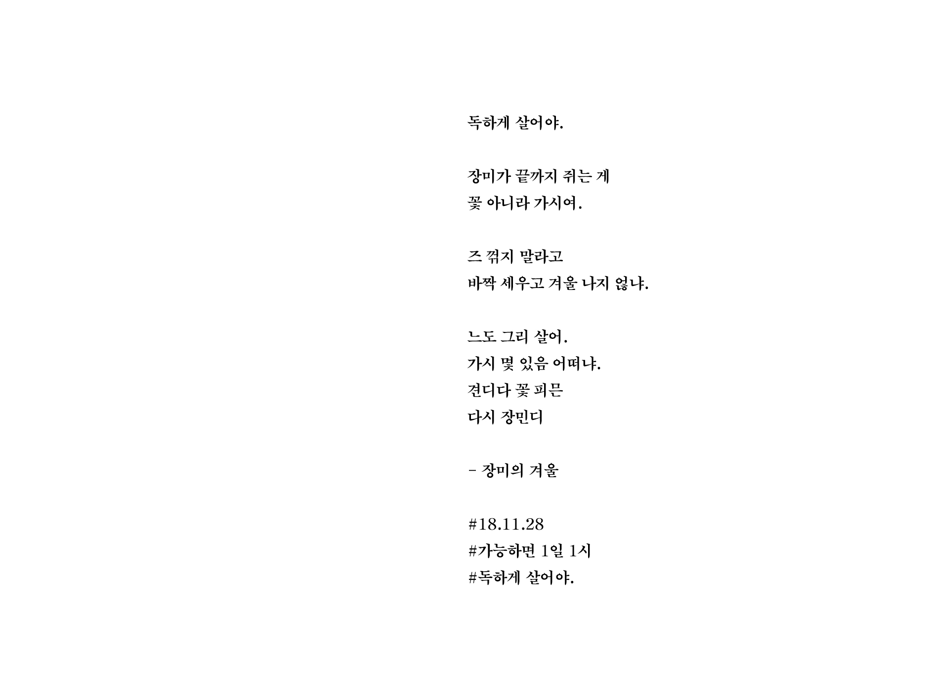 [가능하면 1일 1시] 장미의 겨울 :: 웃긴대학 따뜻한글
