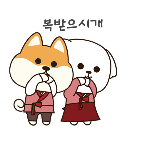 시1바 진짜 주둥아리를 꿰메든가해야지 :: 웃긴대학 대기자료