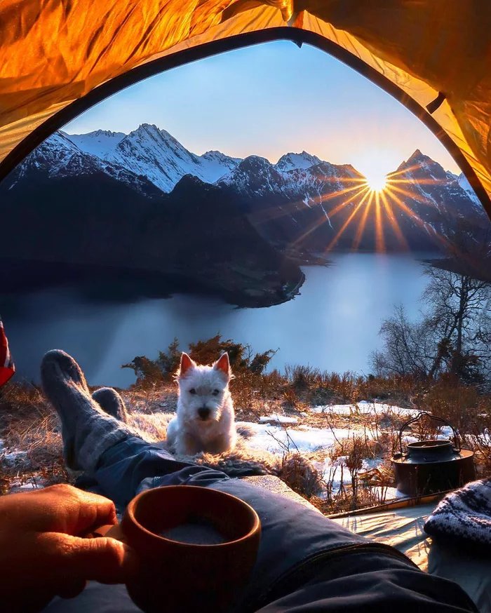 달리는 차에서 뛰면 어떻게 되는지 궁금한 사람들을 위한 짤