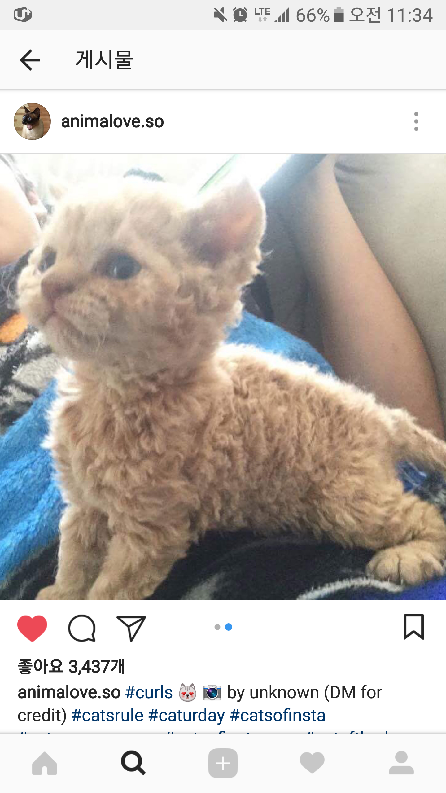 우리 누나가 청강대 애니과 다니는데 :: 웃긴대학 대기자료