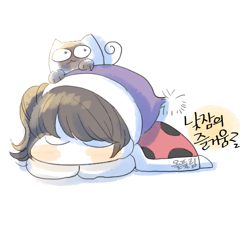 낮잠자기 좋은 시간 1시 4분