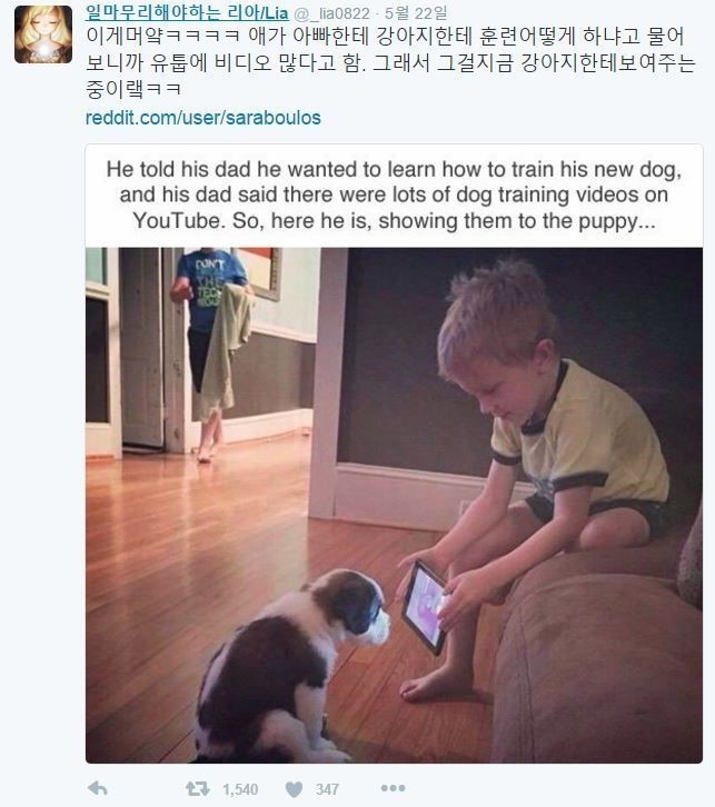 멍뭉이 훈련시키기