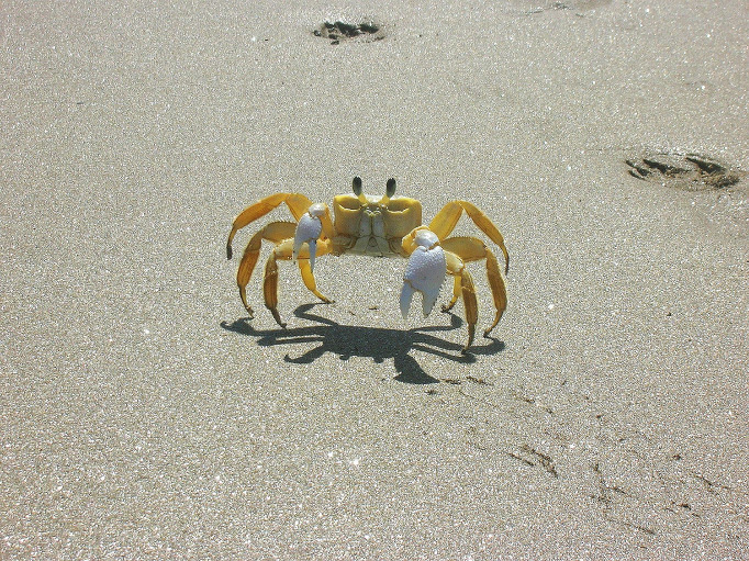 뭔 사건만 터지면 타게시판 사람들 대자로 몰려와서 글쓰는게