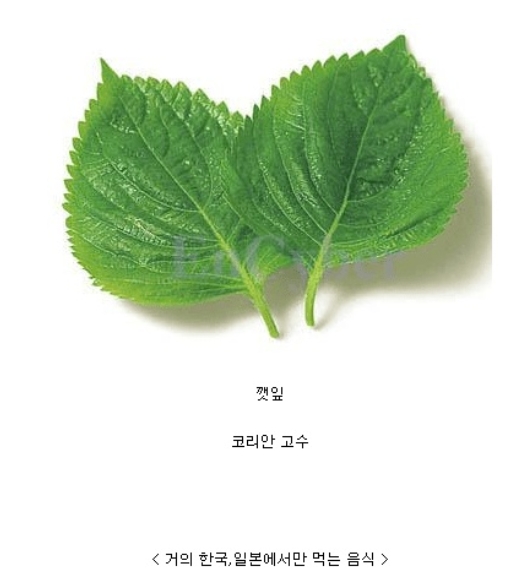 롯데리아랑 맥날 얘네 왜이래 진짜