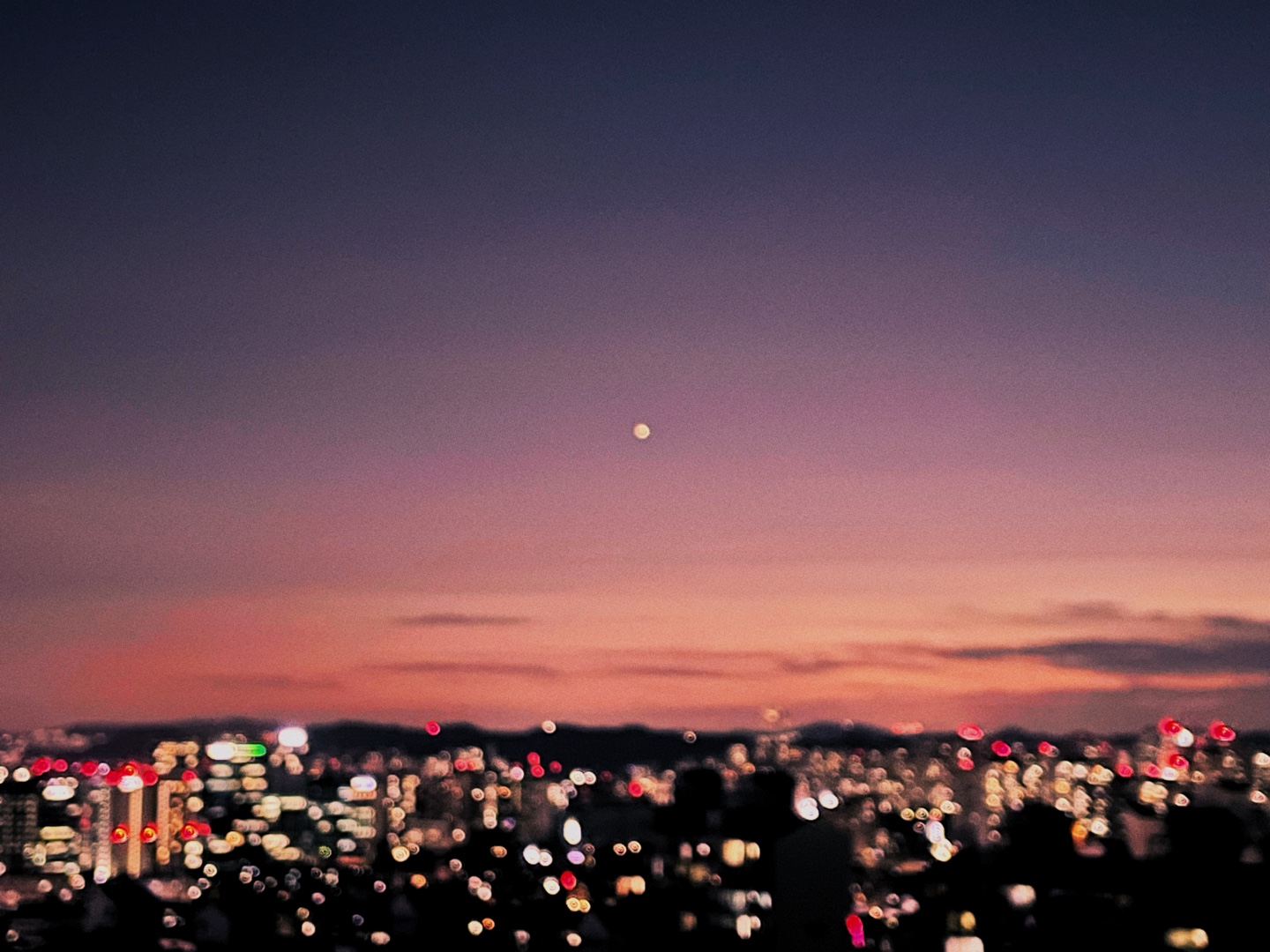 이젠 보이니…? :: 웃긴대학 대기자료