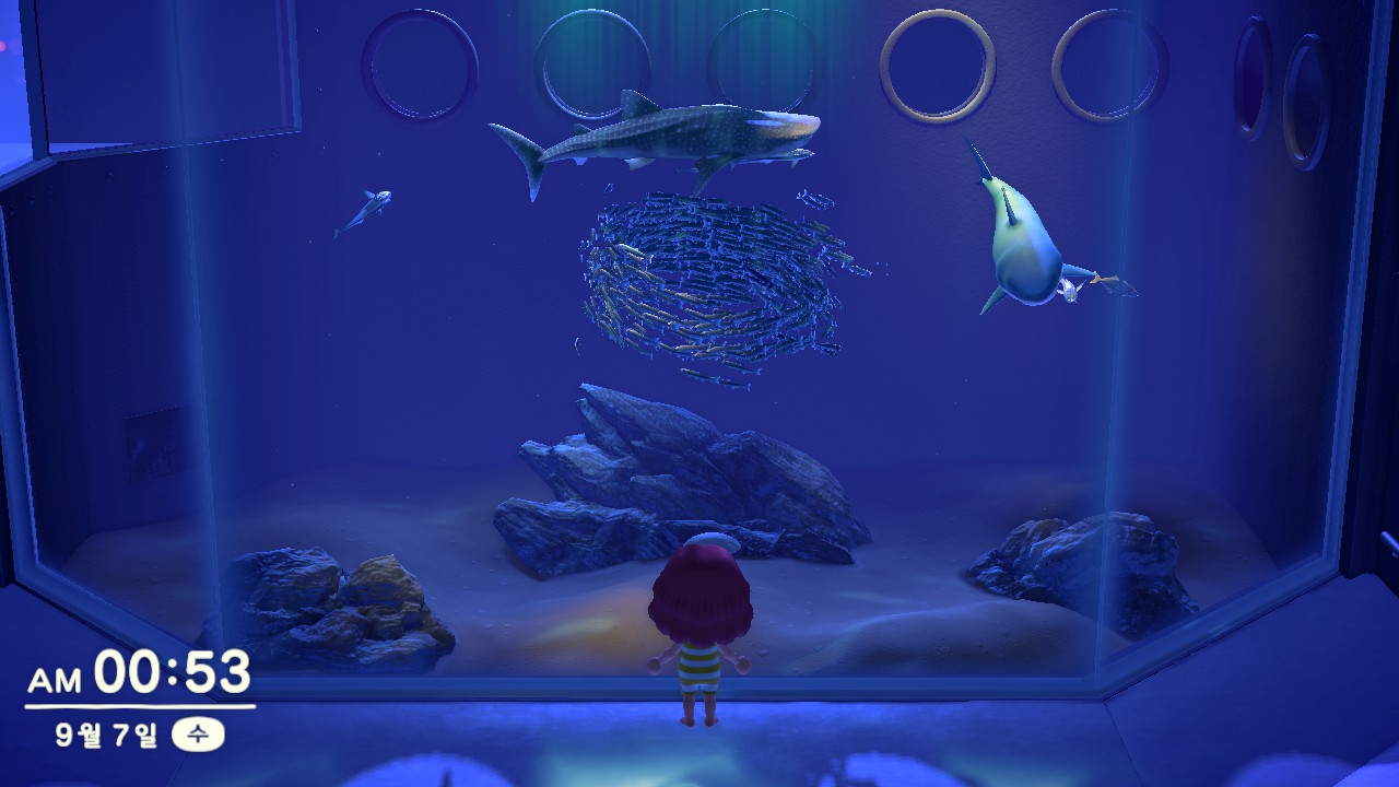 오늘 먹은 것 :: 웃긴대학 대기자료