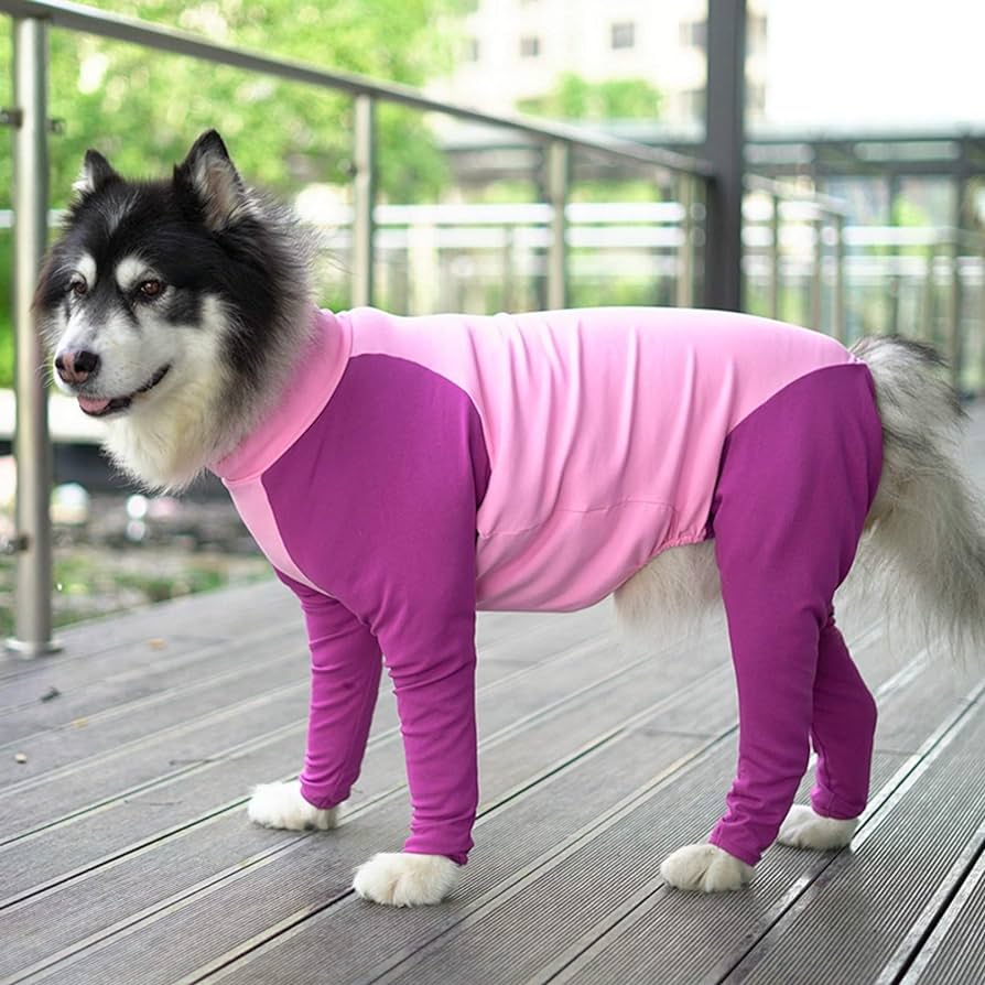 아ㅋㅋ 개옷껴ㅋㅋㅋㅋ