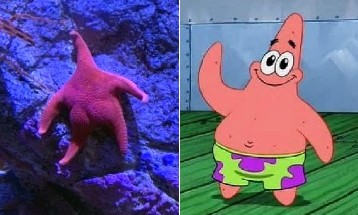 공부하는데 Petrick s method가 나옴