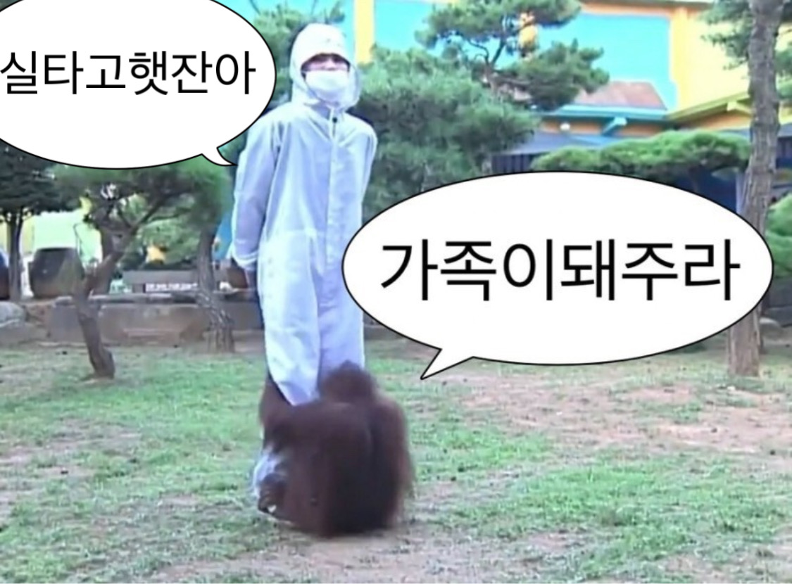 다시 돌아온 바닷가 왠지 그녀도 왔을까